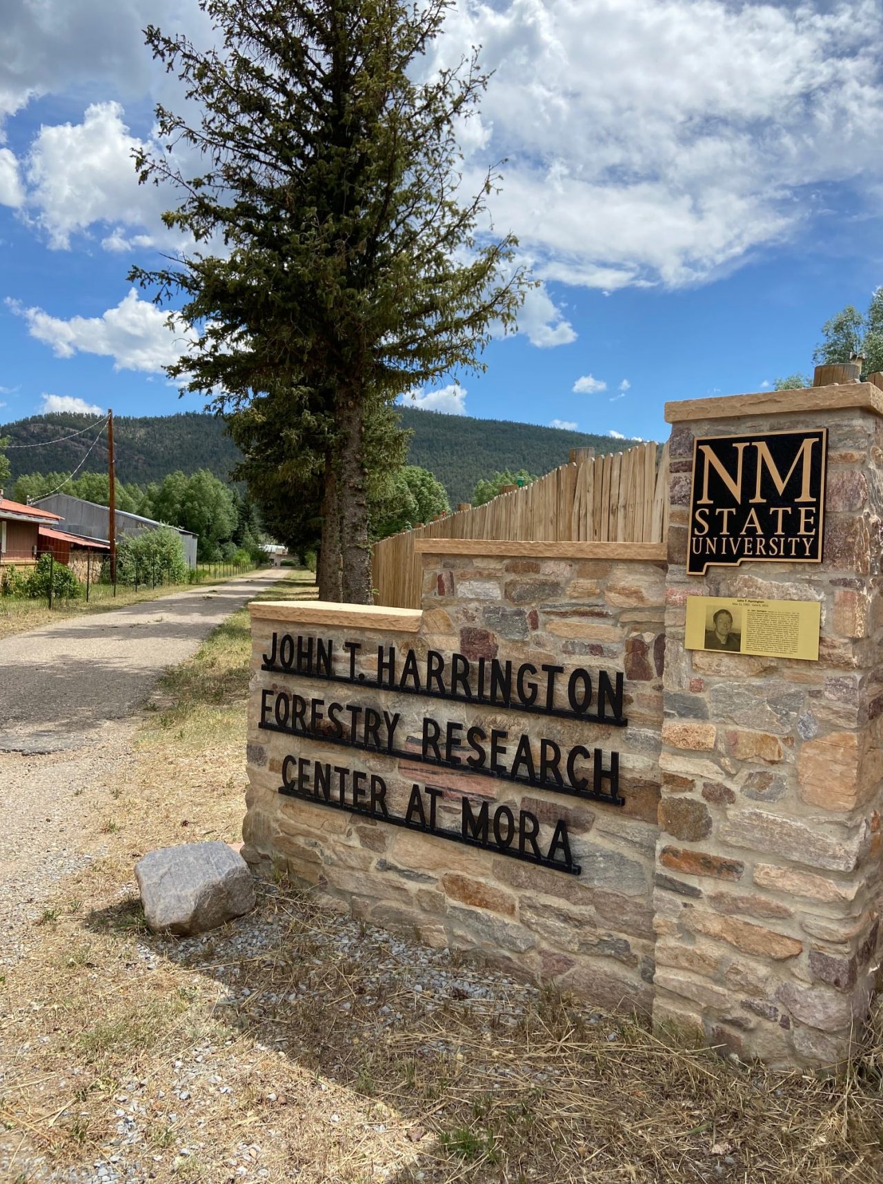 Reforestation Resources - Forestry