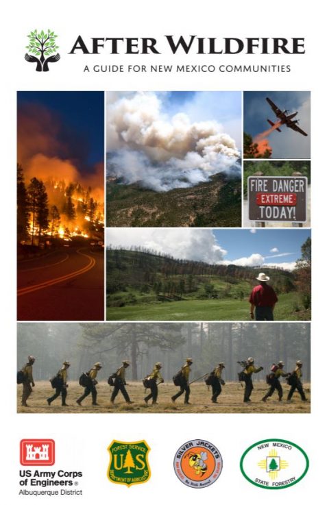 Current Wildfire Information - Forestry