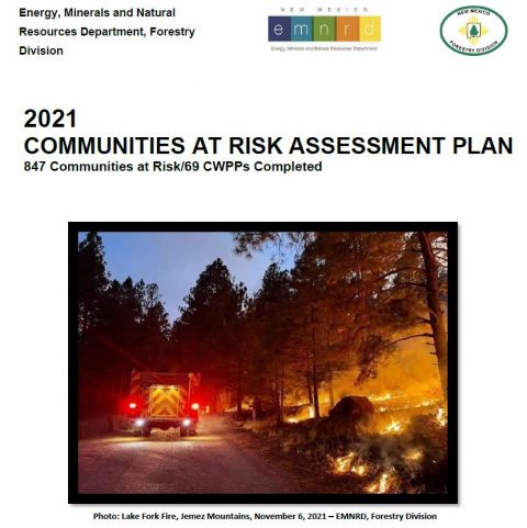 Community Wildfire Protection Plans (CWPP) - Forestry