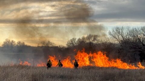 Volunteer Fire Assistance (VFA) Grant - Forestry