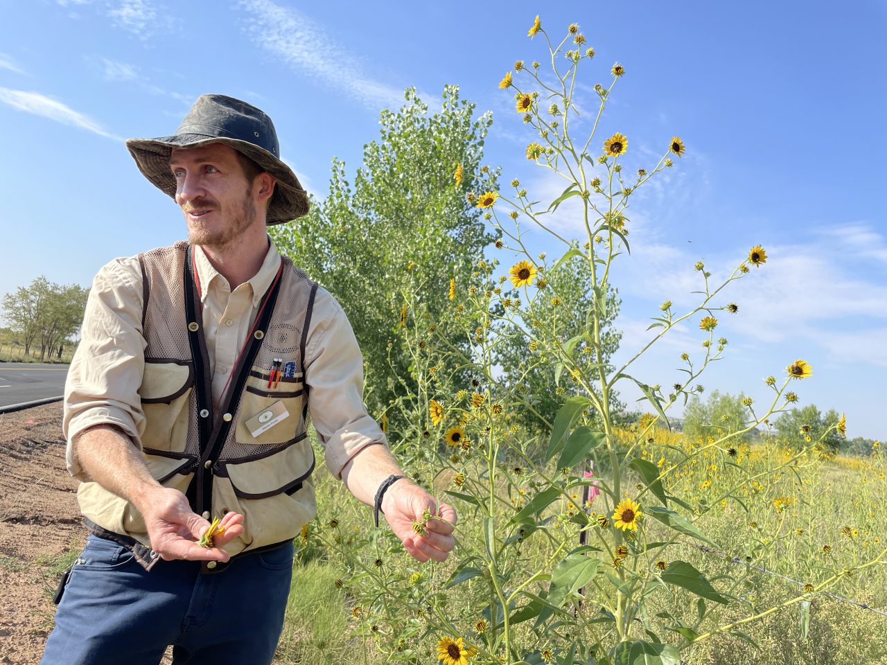 Rare and Endangered Plant Program: Botany Staff - Forestry