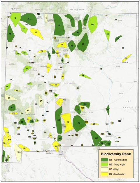 New Mexico Rare Plant Conservation Strategy - Forestry