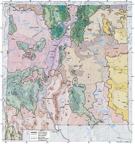 Botany Program - Forestry