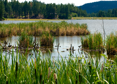 Fenton Lake State Park - State Parks