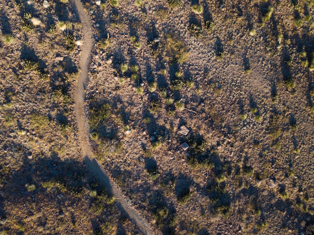 Rockhound State Park - State Parks